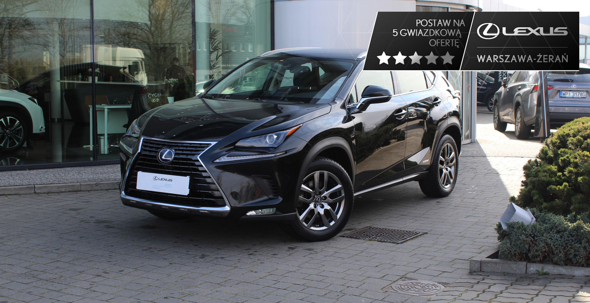 Oferta samochodu Lexus NX 2.5 Hybryda 2020 174 900 zł brutto Lexus ...
