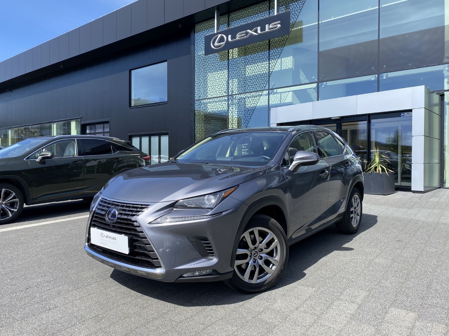 Oferta samochodu Lexus NX 2.5 Hybryda 2021 170 000 zł brutto Lexus ...