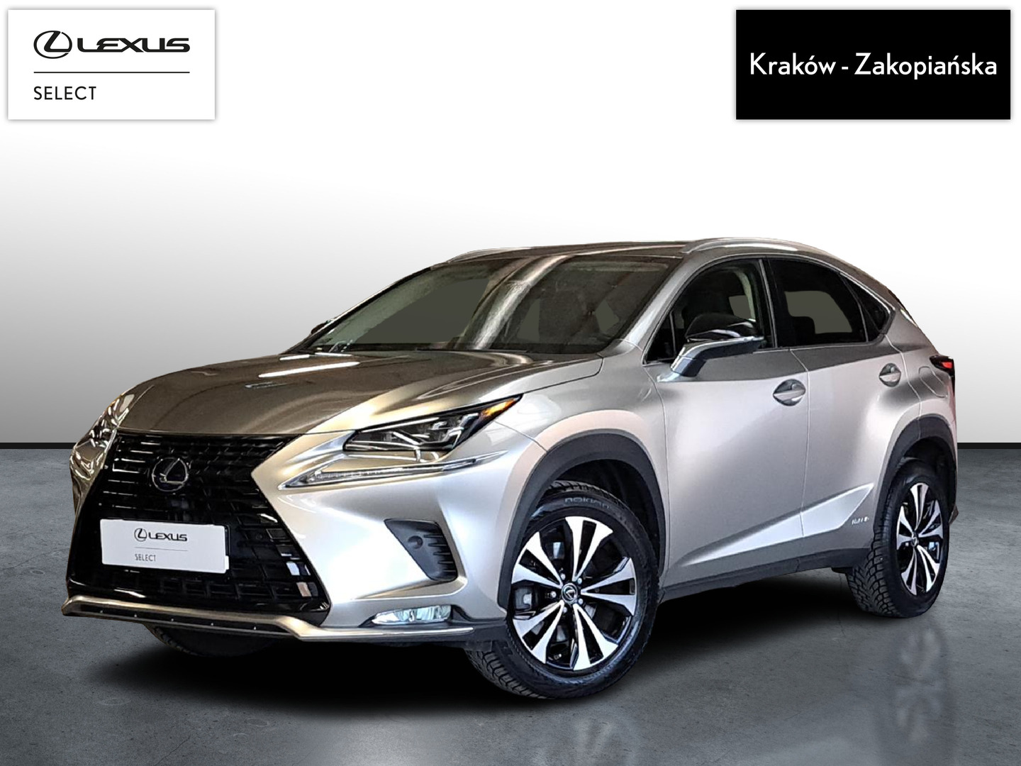 Oferta samochodu Lexus NX 2.5 Hybryda 2020 156 900 zł brutto Lexus ...