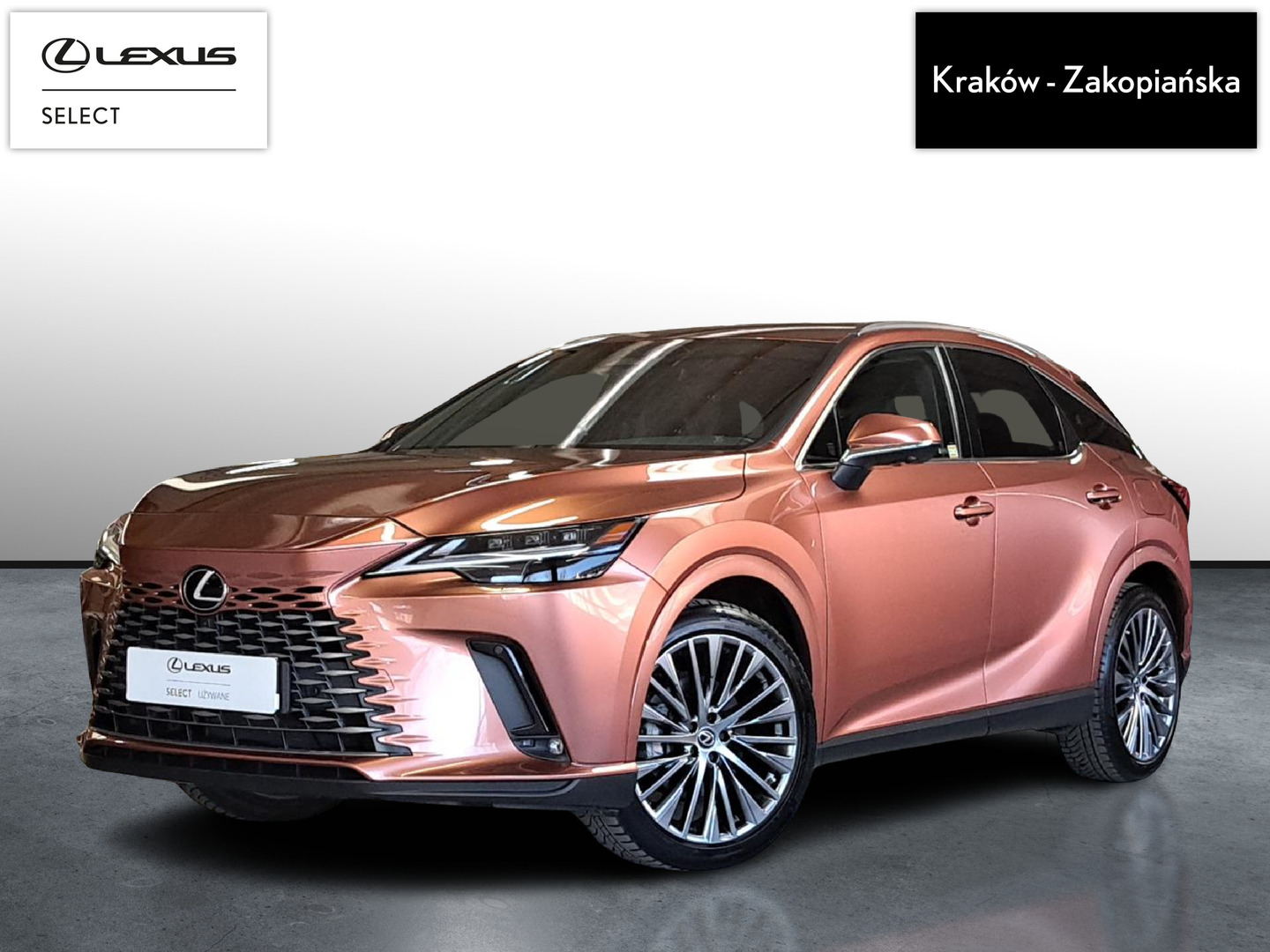 Oferta samochodu Lexus RX 2.5 Hybryda 2022 289 900 zł brutto Lexus ...